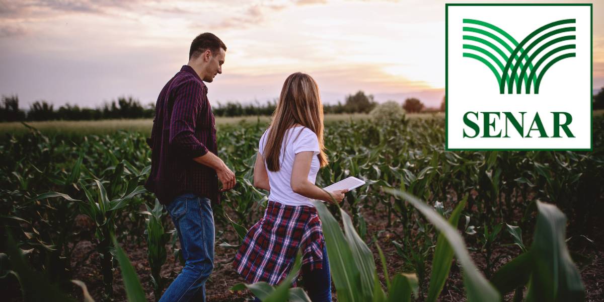 Cursos Gratuitos do Senar: Educação a Distância com Certificado ...